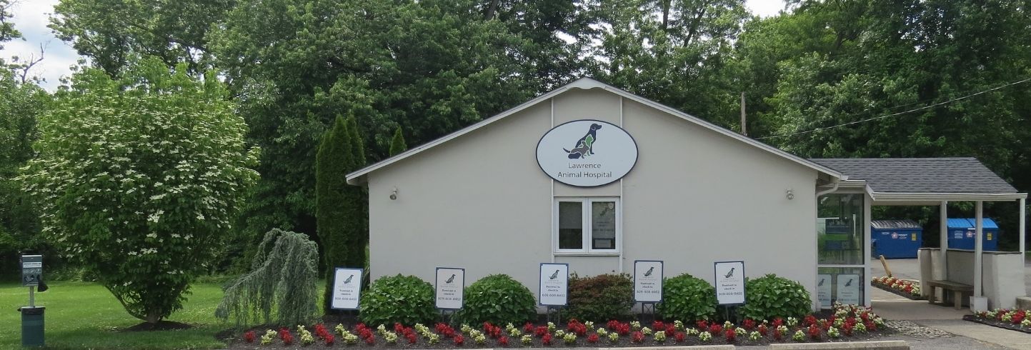 Lawrence Animal Hospital | Princeton veterinarians