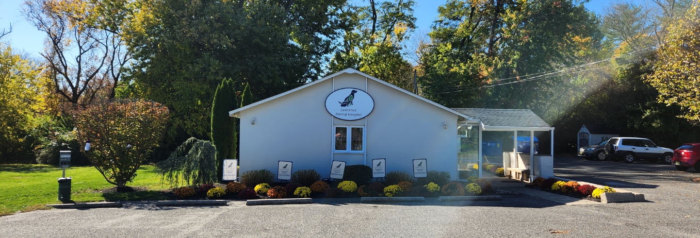 Lawrence Animal Hospital | Princeton veterinarians